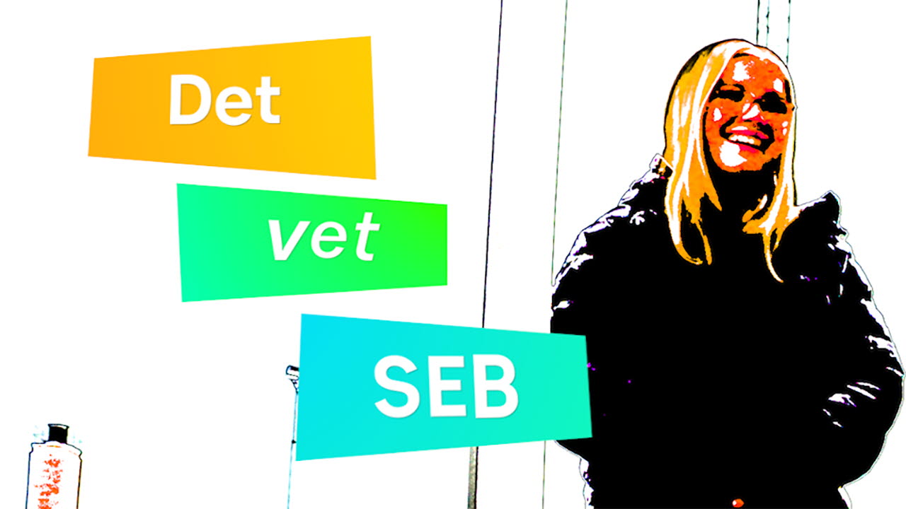Det vet SEB – en satsning för ungas ekonomi | SEB