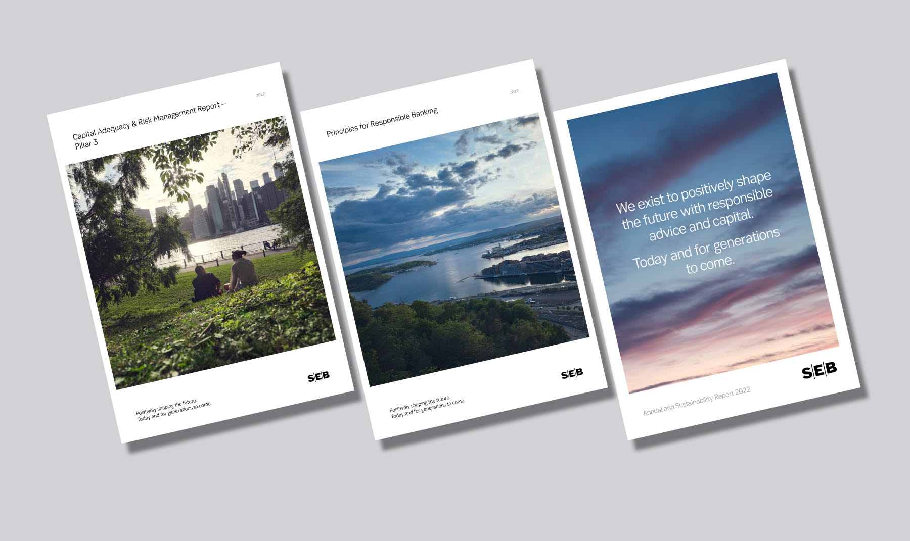 The leading Nordic corporate bank | SEB